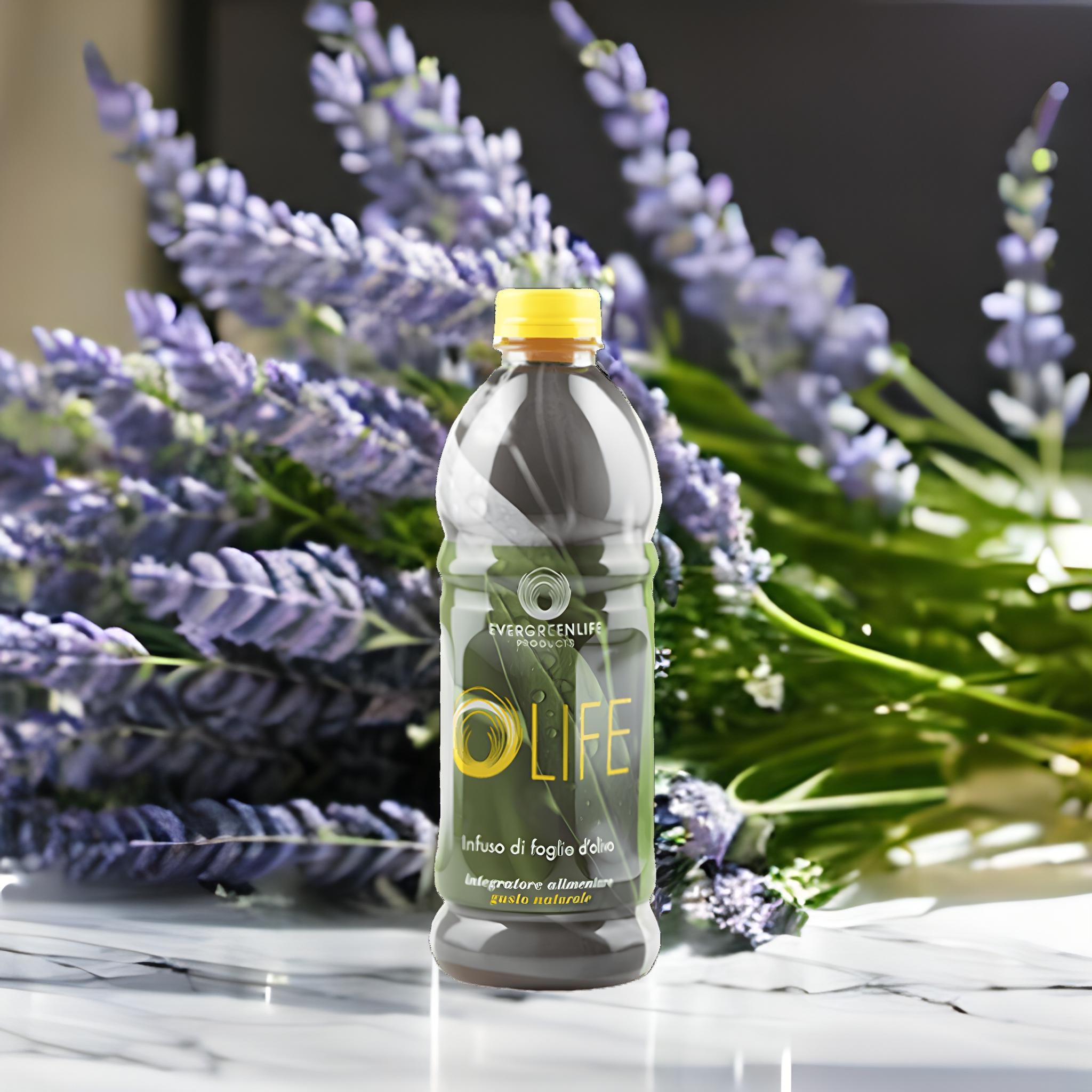 Infuso di Foglie di Olivo e Insonnia: effetti positivi e rimedio naturale